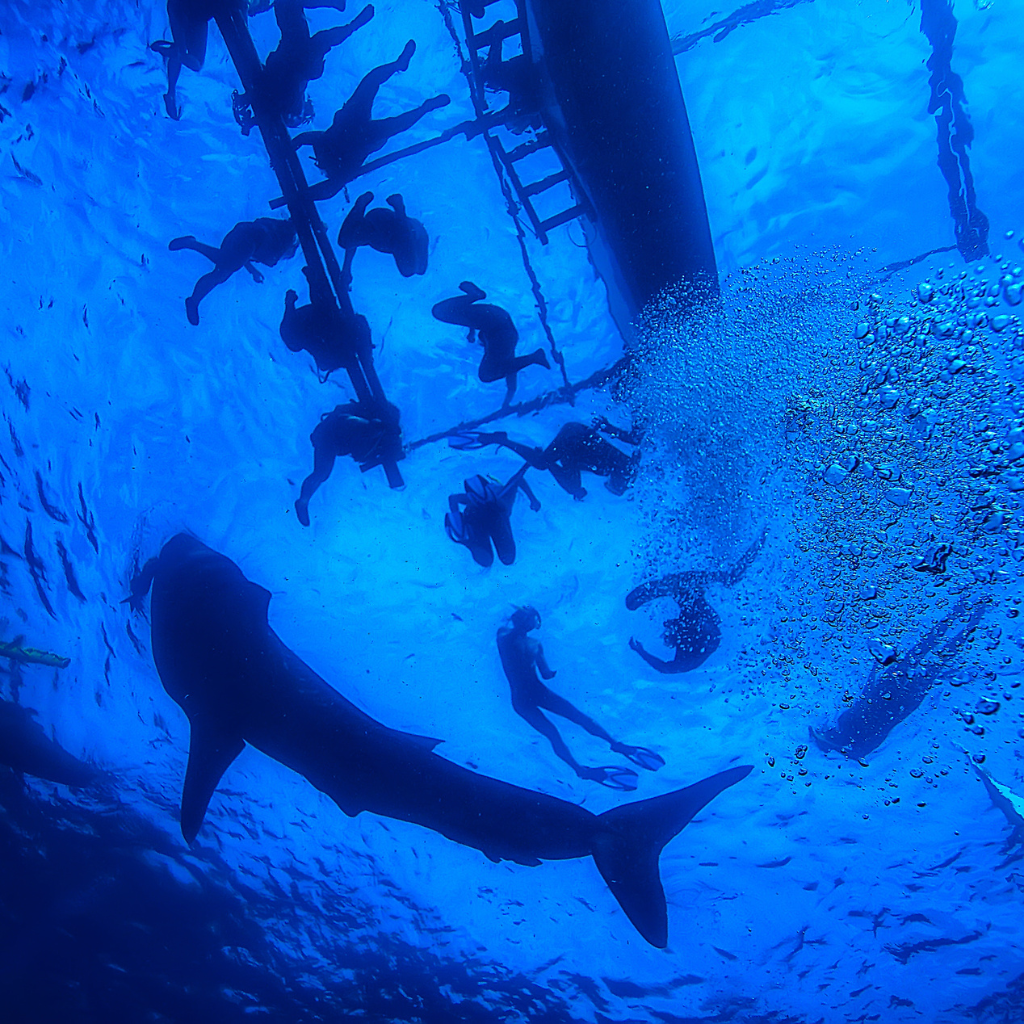 Durban Activities – Hyperli