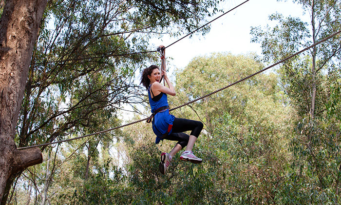 “Big Zip” Zip Lining Experience – 13 Locations, Acrobranch Adventure P ...