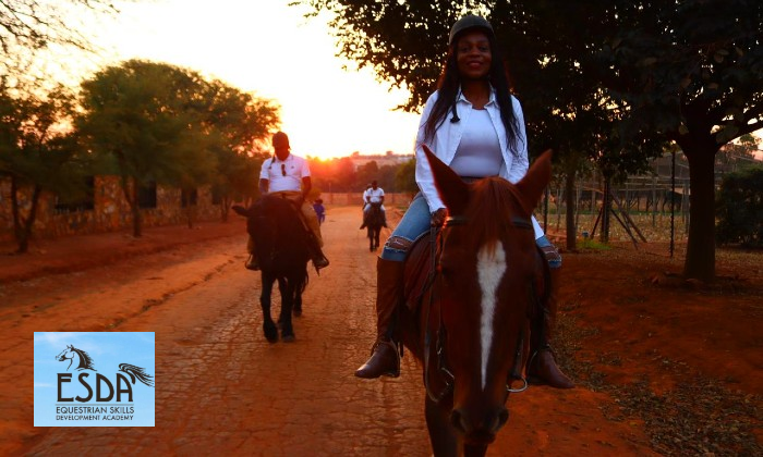 1-Hour Outride Horse Riding Experience with ESDA – Hyperli