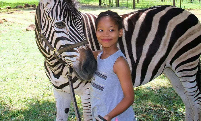 Interactions and Photos with Zebras for Kids or Adults at Lila's Zebra ...