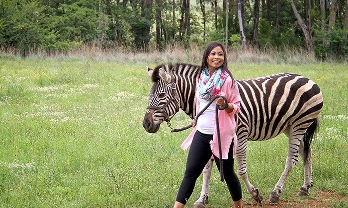 Interactions and Photos with Zebras for Kids or Adults at Lila's Zebra ...
