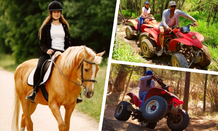 Horse Riding and Quad Biking at Horse Riding Adventure – Hyperli